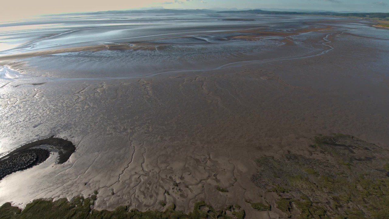 Tidal Flats - Ocean Central